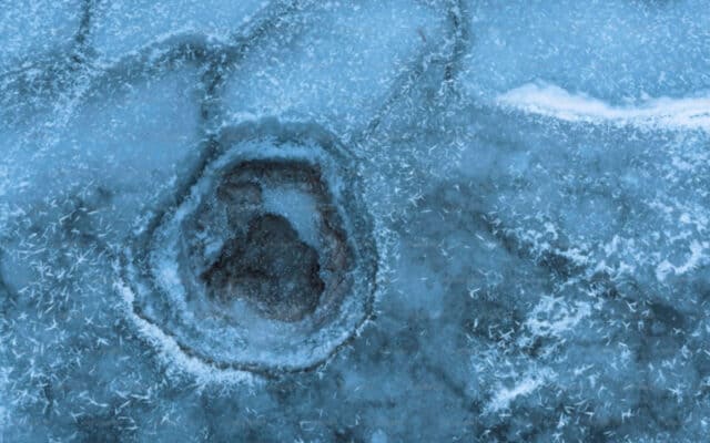 What is Cryogenic Freezing in Food: An Expert Overview